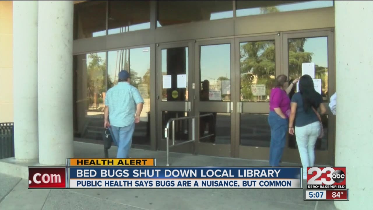 Beale Library bed bugs