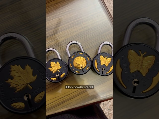Round Padlock - Active Padlock with keys Manufacturer from Aligarh