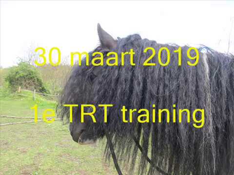 2019 03 30 1e trt training van Callas