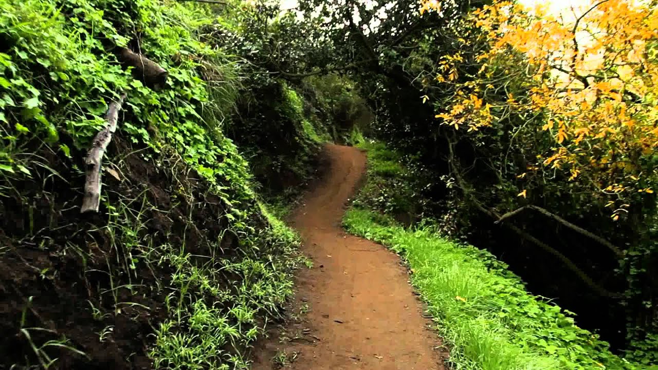 Crossing the Line: Cycling and Rowing