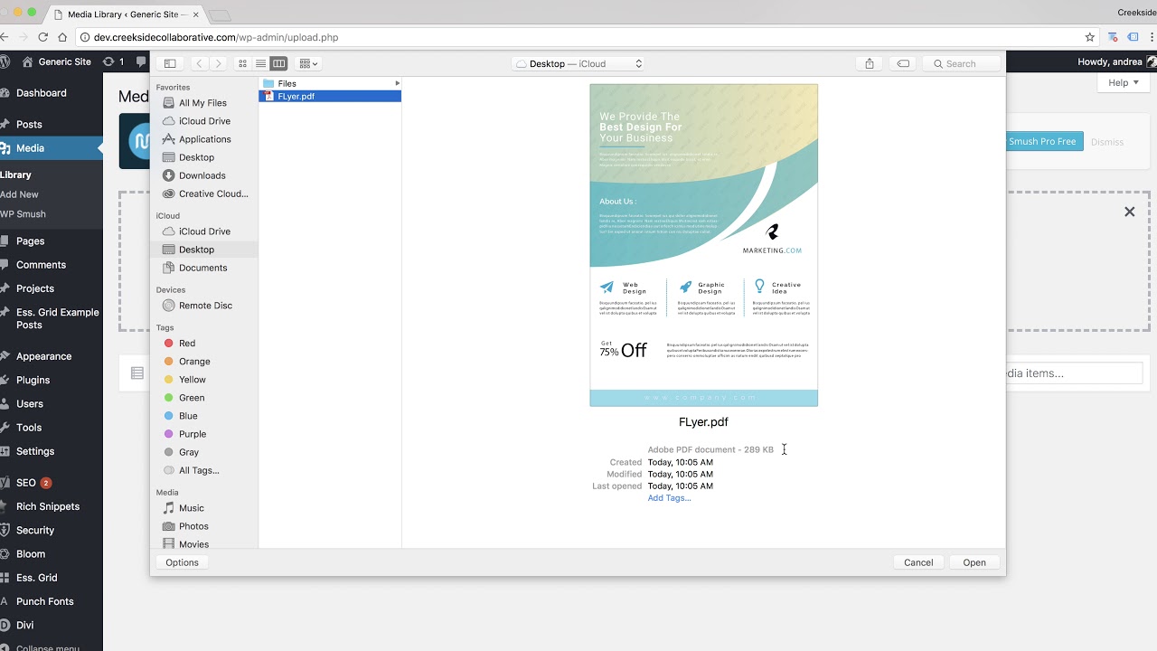 Adding a PDF to Menu in Wordpress