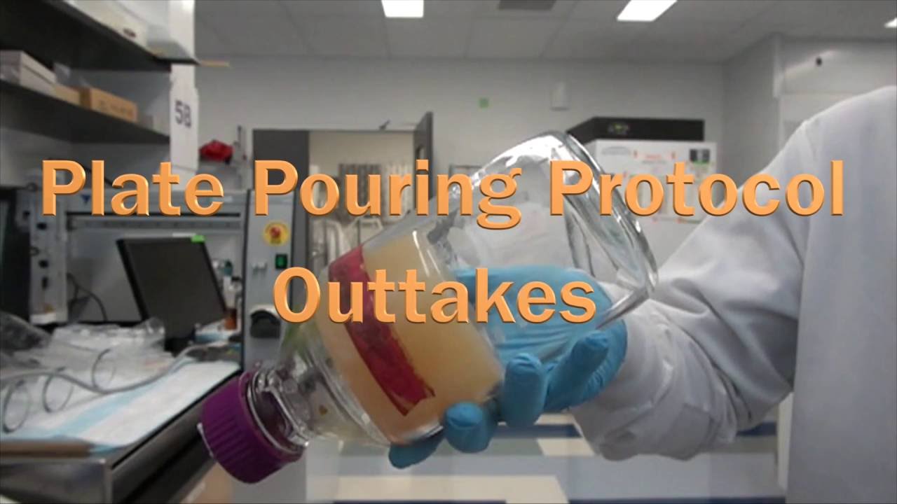 Outtakes - Plate Pouring Protocol