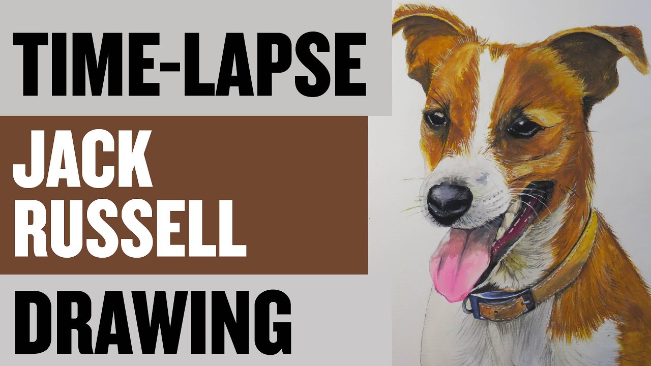 How to paint a Jack Russell Terrier - With Tutorial Commentary
