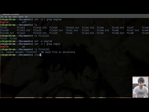 setting shell options in Linux | braceexpand, notify , allexport , history , noclobber, noglob etc.