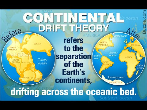 What is continental drift theory? Biology expert.