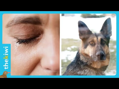 This dog would do something that left his owners speechless