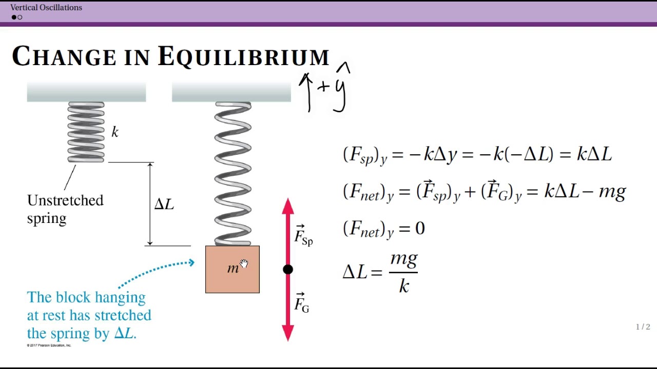 Vertical Oscillations