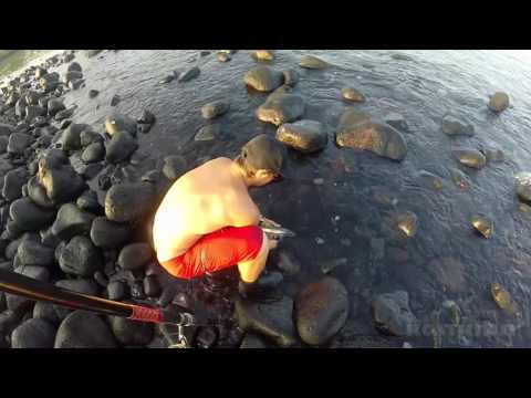 Hawaii Bonefish and Other Island Fish Caught on KastKing Kodiak - Shaka Fishing