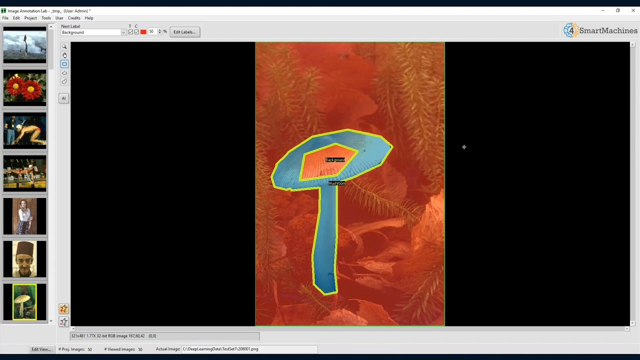 Image Annotation Lab Tutorial in Urdu and Hindi