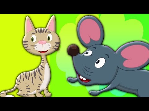 suara binatang | lagu pendidikan | belajar binatang | Nursery Rhymes | Animal Sounds Song
