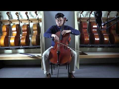 Gustav Ficker Piatti Strad 1973 Cello for Sale | Linda West Cellos