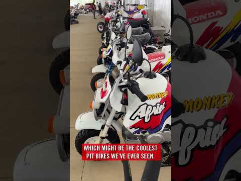 The 5 Coolest Vehicles We Saw at Mecum Kissimmee