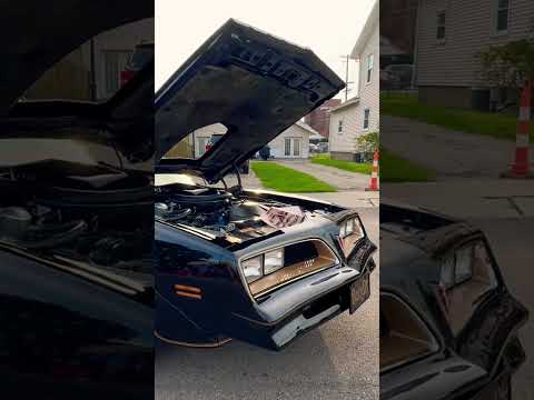 Bandit Trans Am — Trans Am Nationals 2023