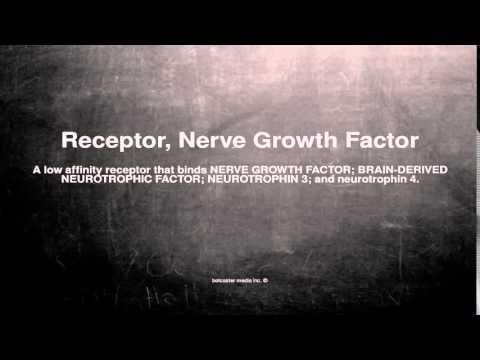Medical vocabulary: What does Receptor, Nerve Growth Factor mean