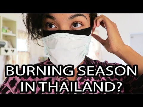 What is burning season in Thailand? Q&A!