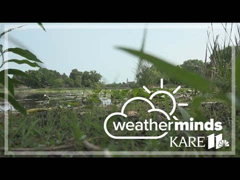 WeatherMinds - Impaired waters