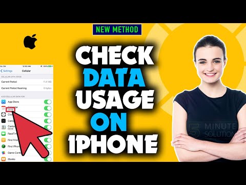 how to check data usage on iphone 2024 [ Easy Steps ]