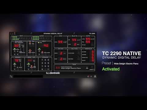TC 2290 Dynamic Digital Delay Native Plug-In - Sound Example