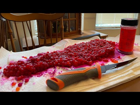 HOW TO Cure Salmon Eggs for Fishing (my GO TO cure)