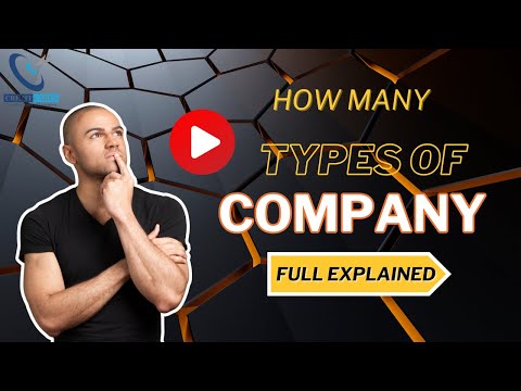 Demystifying Business Entities: Types of Companies Explained | CreditCares