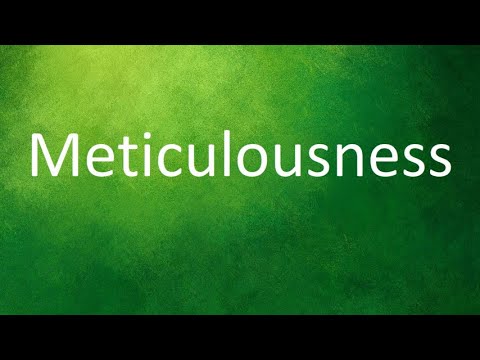 Pronunciation, meaning and usage of the word "Meticulousness". (in Hindi and English)