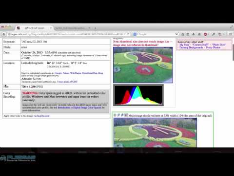 How to View the Metadata in an Image Online (EXIF)