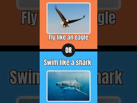 Ultimate Animal Personality Quiz! πΎ Which Wild Trait Fits You?