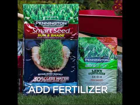 Pennington Smart Seed Tall Fescue Grass Seed, 7 lb Reviews