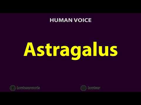 How To Pronounce Astragalus