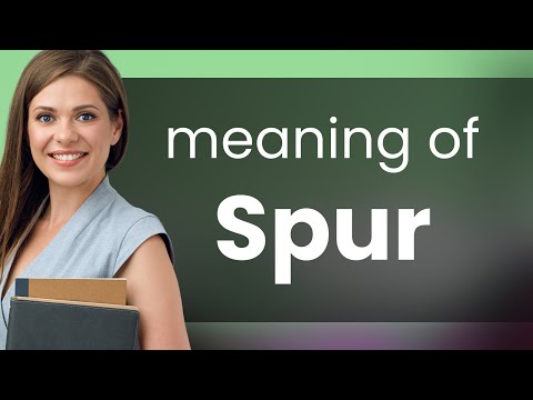 Spur — definition of SPUR