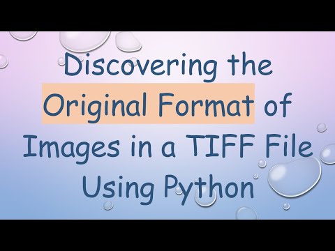 Discovering the Original Format of Images in a TIFF File Using Python