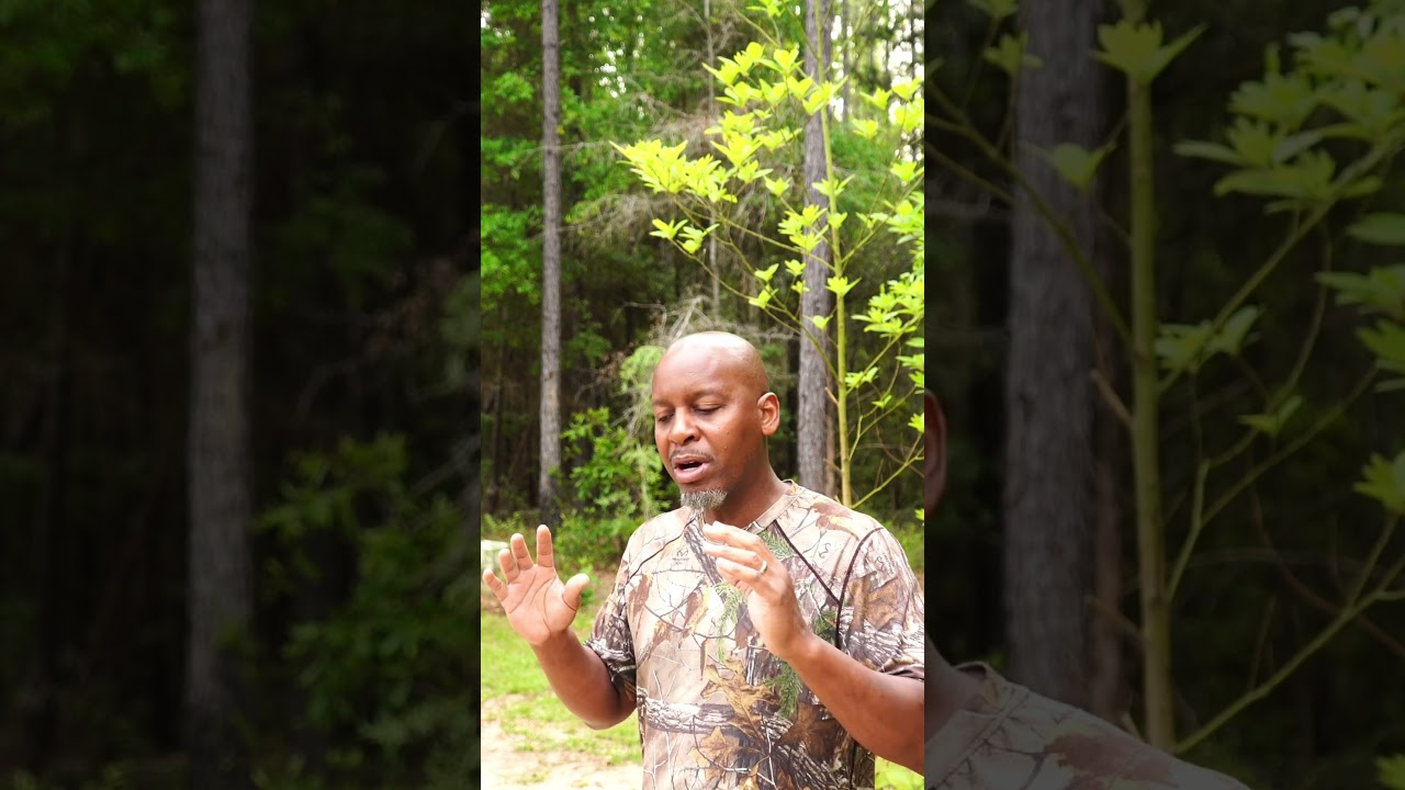 Corporations Buying Land And Government