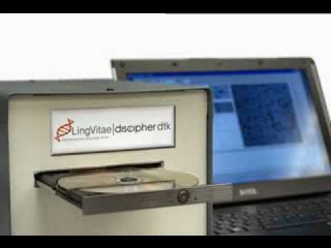 The Discipher Diagnostic Device