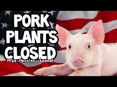 China Billionaire - Shuts Down Pork Plants in Multiple States