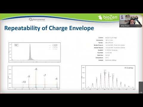Method Development for the Characterization of Synthetic Oligonucleotides by LC MS