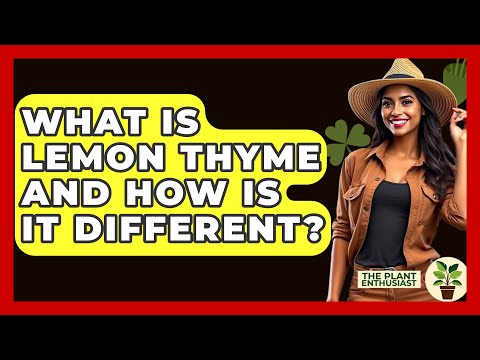 What Is Lemon Thyme And How Is It Different? - The Plant Enthusiast