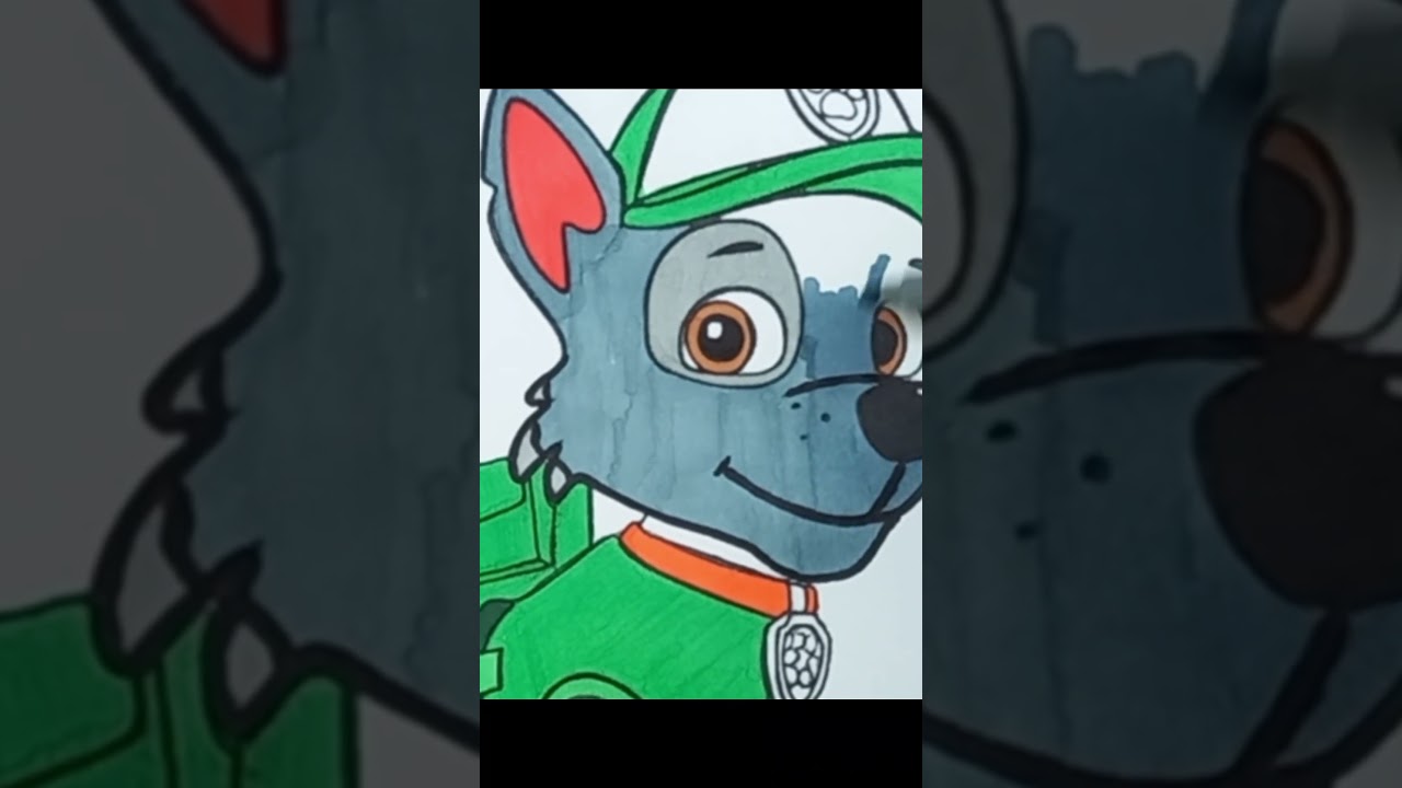 Let's Colour Paw Patrol's Rocky #pawpatrol #mightypups #acyrlic #mightypups #arts
