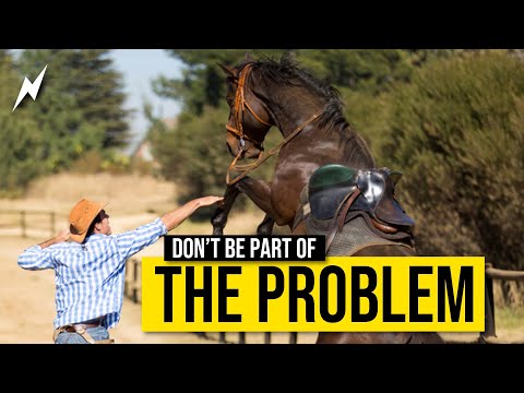 When your [ANXIETY] cup overflows | how to not be a part of the problem as an insurance adjuster