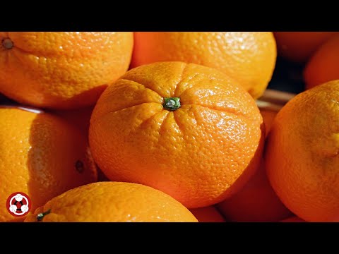 Fruits 水果 How to pronounce Orange 橙,オレンジ,오렌지, appelsin,, Apfelsine, arancia, naranja,, апельсин,