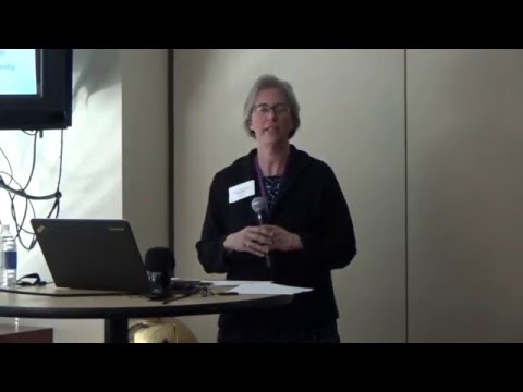 The American Bar Association Rule of Law Initiative (ABA ROLI): An Introduction