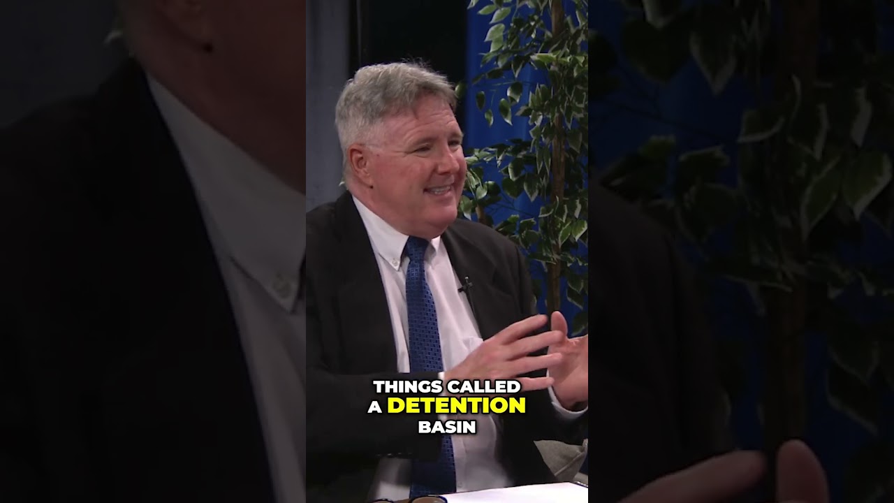 Essential Guide to Wetland and Retention Areas in Development