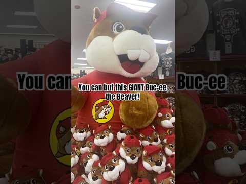 Grand Opening of Buc-ees in Pass Christian, Mississippi! One of the largest locations! #bucees