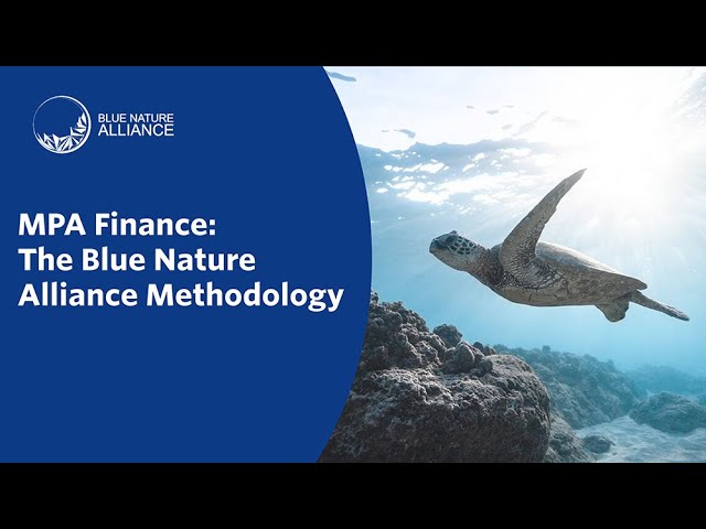 Understanding the Blue Nature Alliance Methodology for Marine ...
