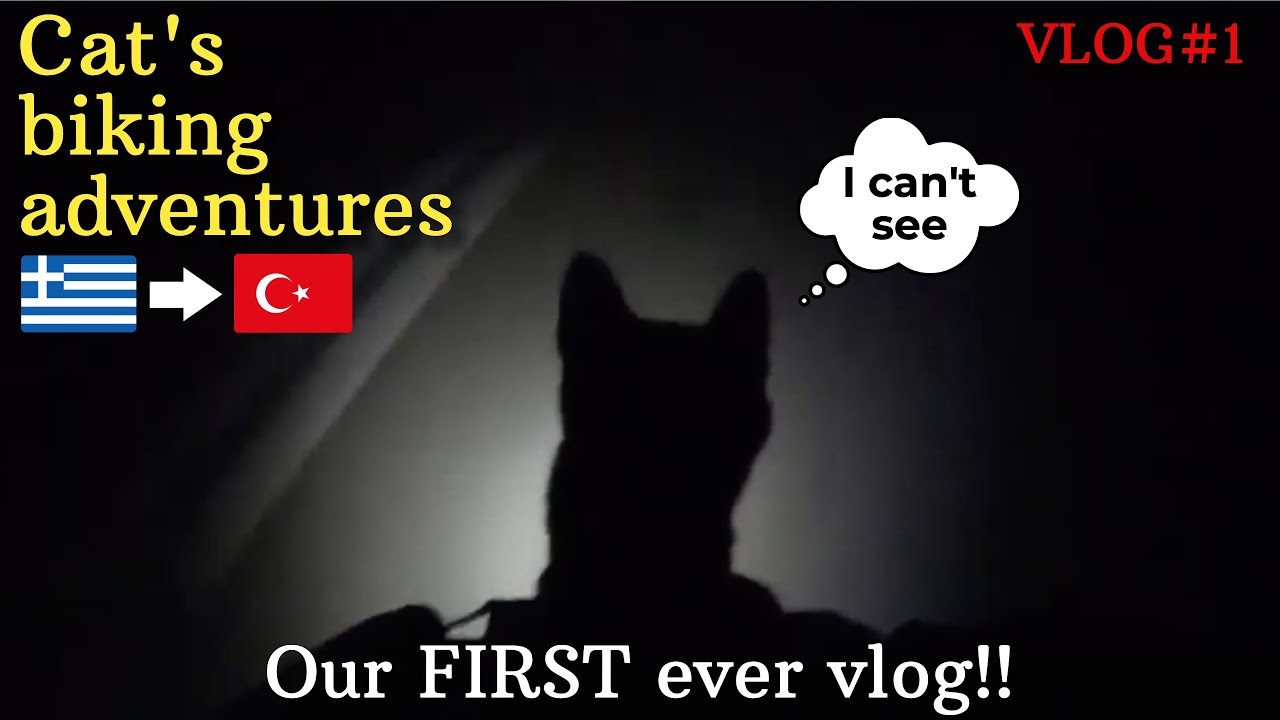 Our first ever vlog 😻❤️ VLOG#1