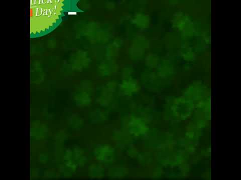 St. Patrick 3 Day Sale 3/15 thru 3/17
