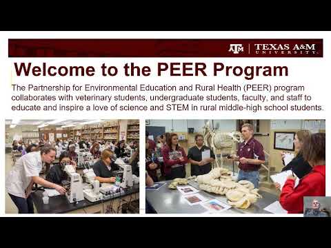 Overview of the PEER Program at Texas A&M College of Veterinary Medicine & Biomedical Sciences