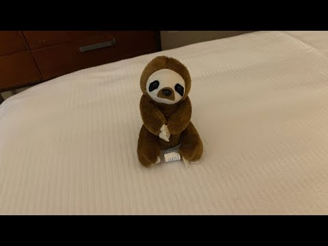 Sloth 🦥 stuffed animal toy review
