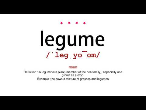 How to pronounce legume - Vocab Today