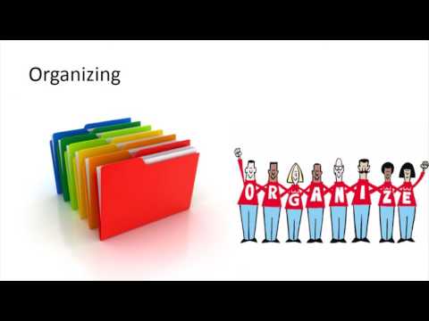 Overview of MIS in detail.