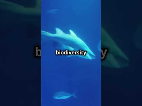 The Surprising Truth About Apex Predators Nobody Tells You